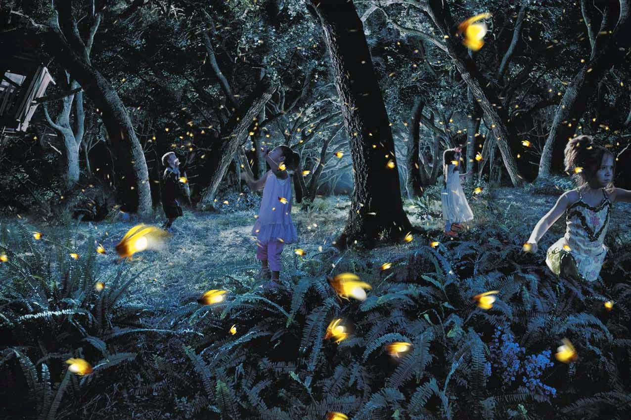 Naturalist's World - Dr Abe V Rotor : Would you kill a firefly?