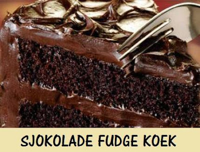 LEKKER RESEPTE VIR DIE JONGERGESLAG: SJOKOLADE FUDGE KOEK