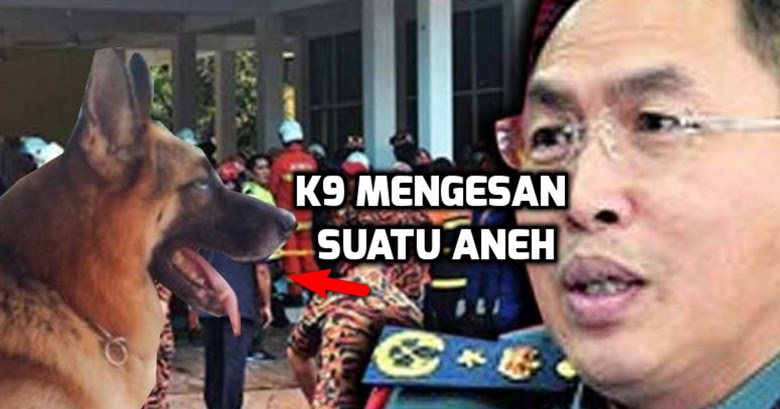 Informasi Media: #update kes..ptg tadi anjing pengesan K9 di bawa ke ...