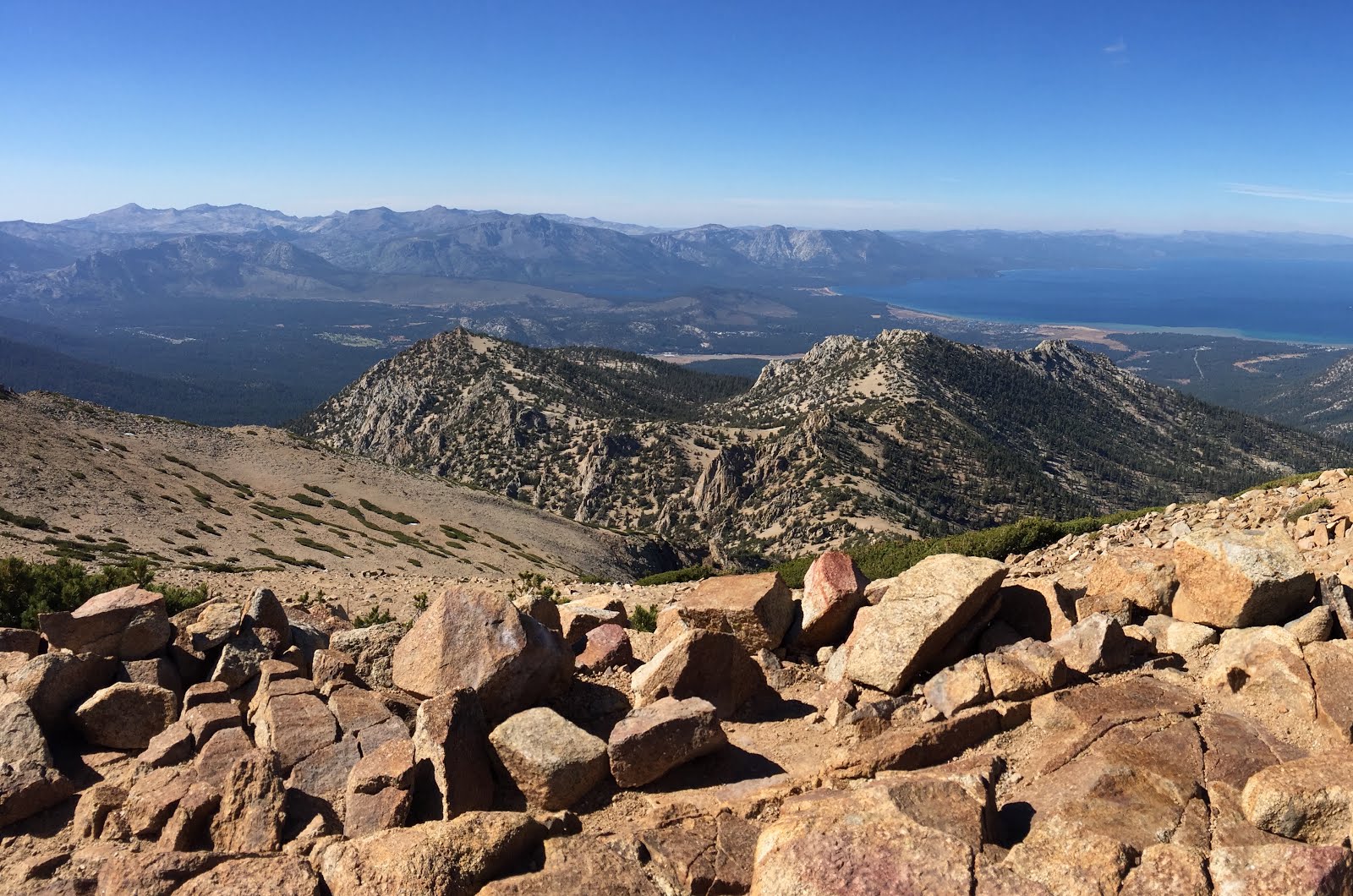 NorCal Dog Trails: Freel Peak Via Armstrong Pass