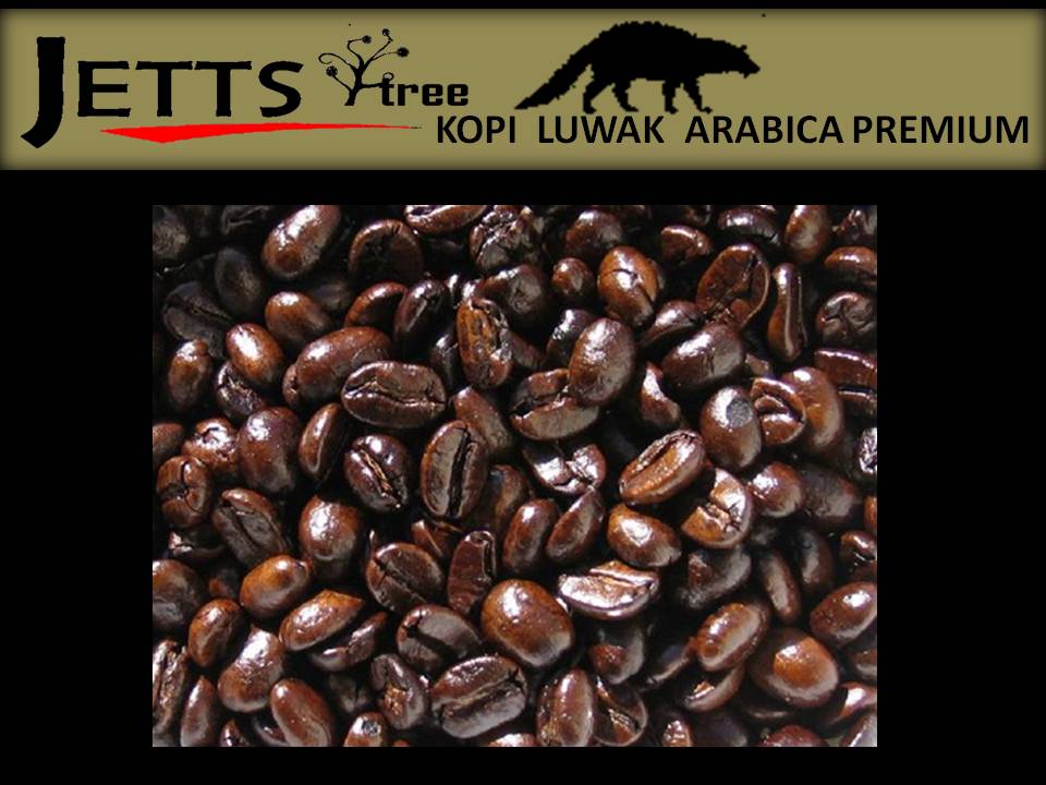 INDONESIA CIVET COFFEE: Indonesian Civet Coffee for Sale