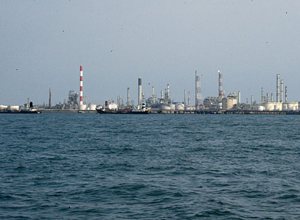 wild shores of singapore: A glimpse of Bukom after the fire