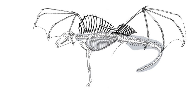 Andriana Laskari's Creative Corner - CG Arts and Animation: Combining ...