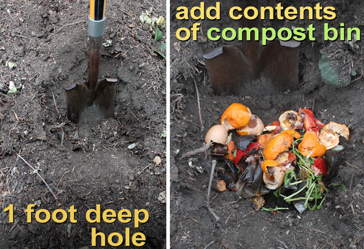 The 99 Cent Chef: June 2013