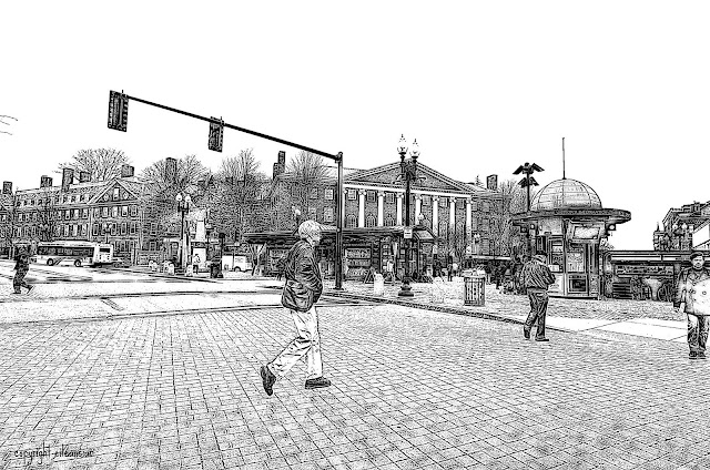 Harvard Square: New Crossing at Harvard Square