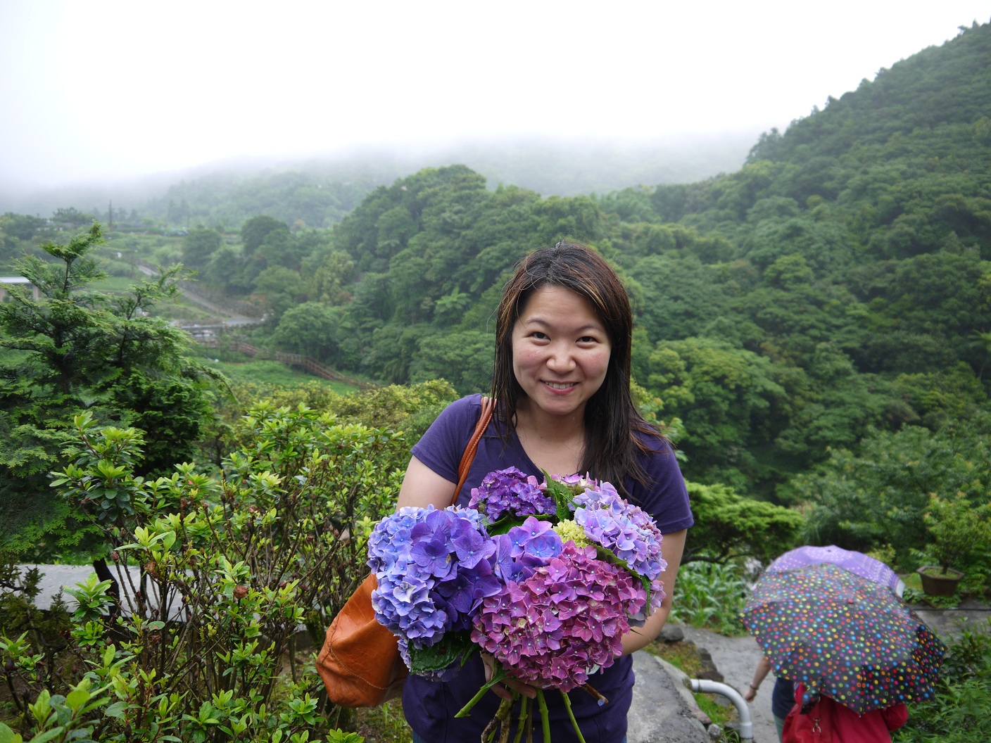 Mike & Sunny's Blog: Hydrangea farms in Yangmingshan
