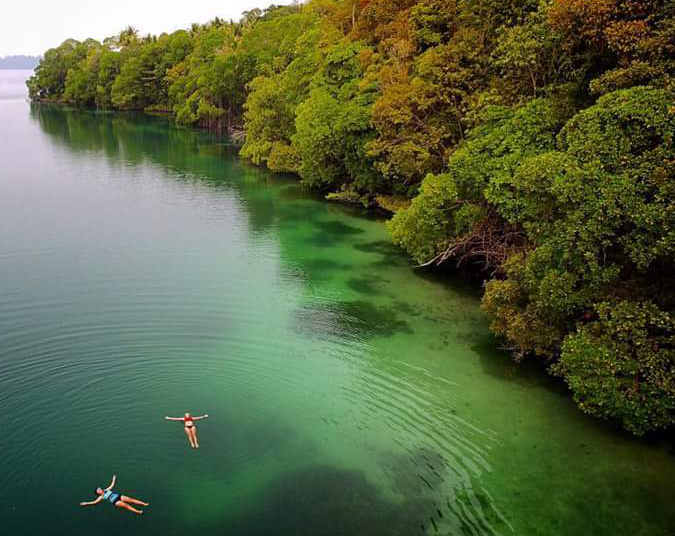 Tropical Beauty of Kakaban Lake as an Awesome Holiday Destination ...