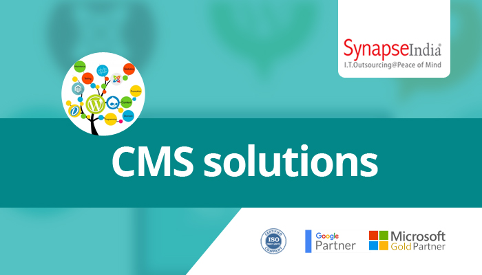 CMS Solutions provider company: Succeed in the Online Space with ...