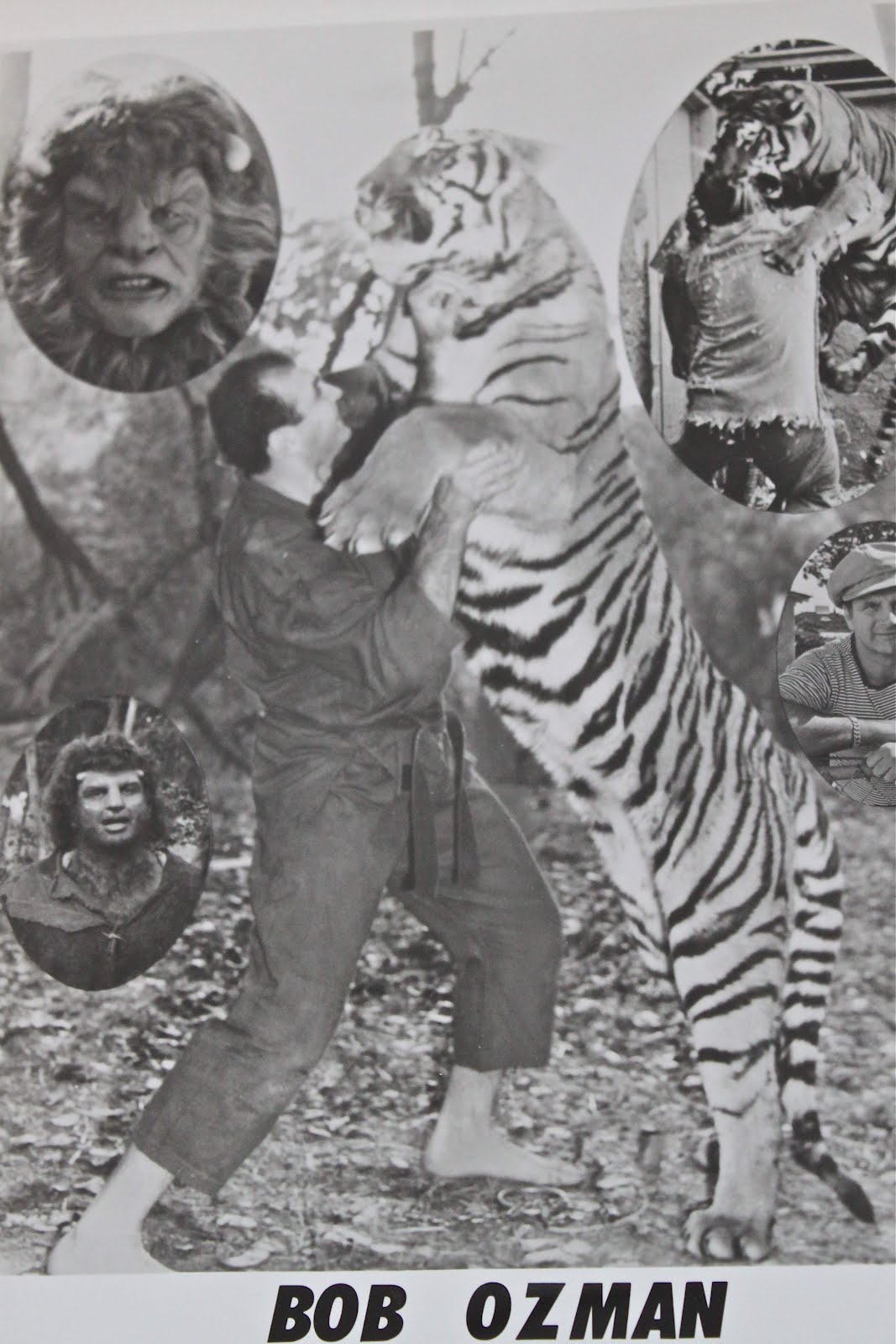 Five Birds Martial Arts: Bob Ozman dies in his home