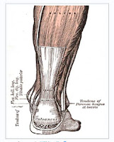 Levaquin Lawsuit News: New Jersey to See Levaquin Trials Go Forward