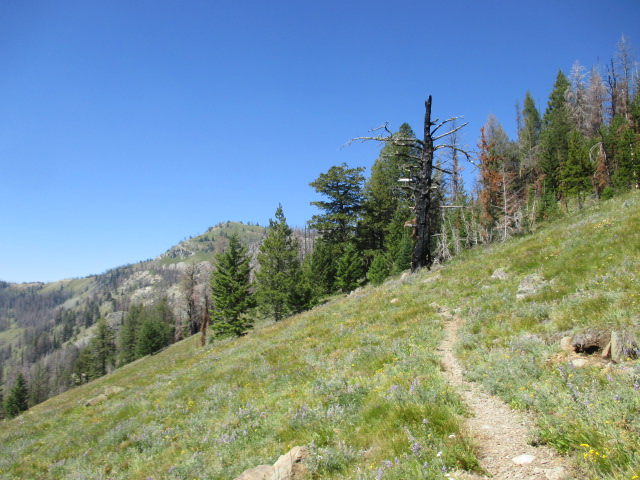 The Granola Chronicles : Seven Devils Loop