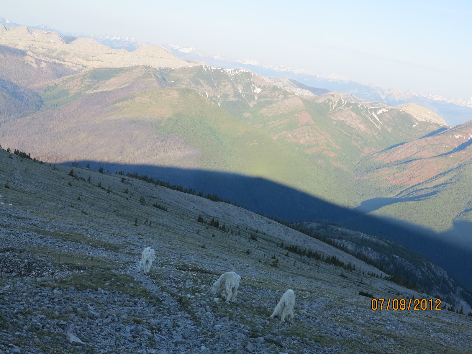 Argentina and Beyond: POLLEY'S PERCH (Prairie Reef Lookout)