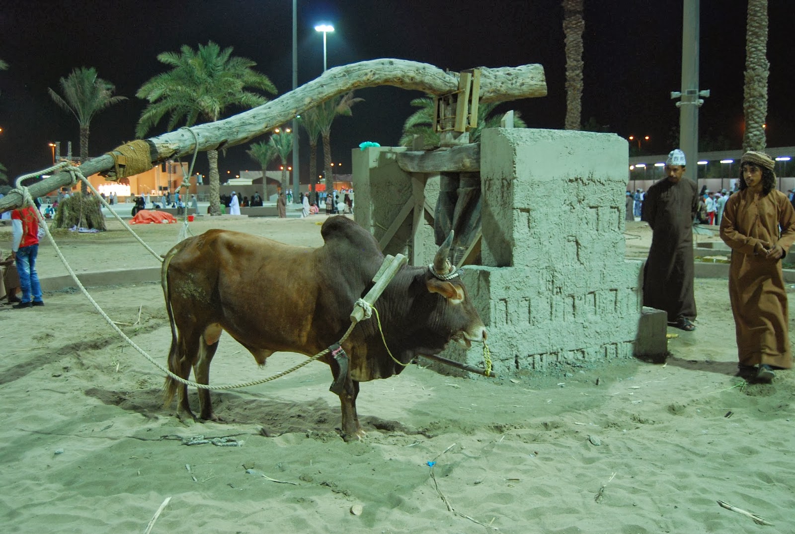 Our Oman Experience: Muscat Festival