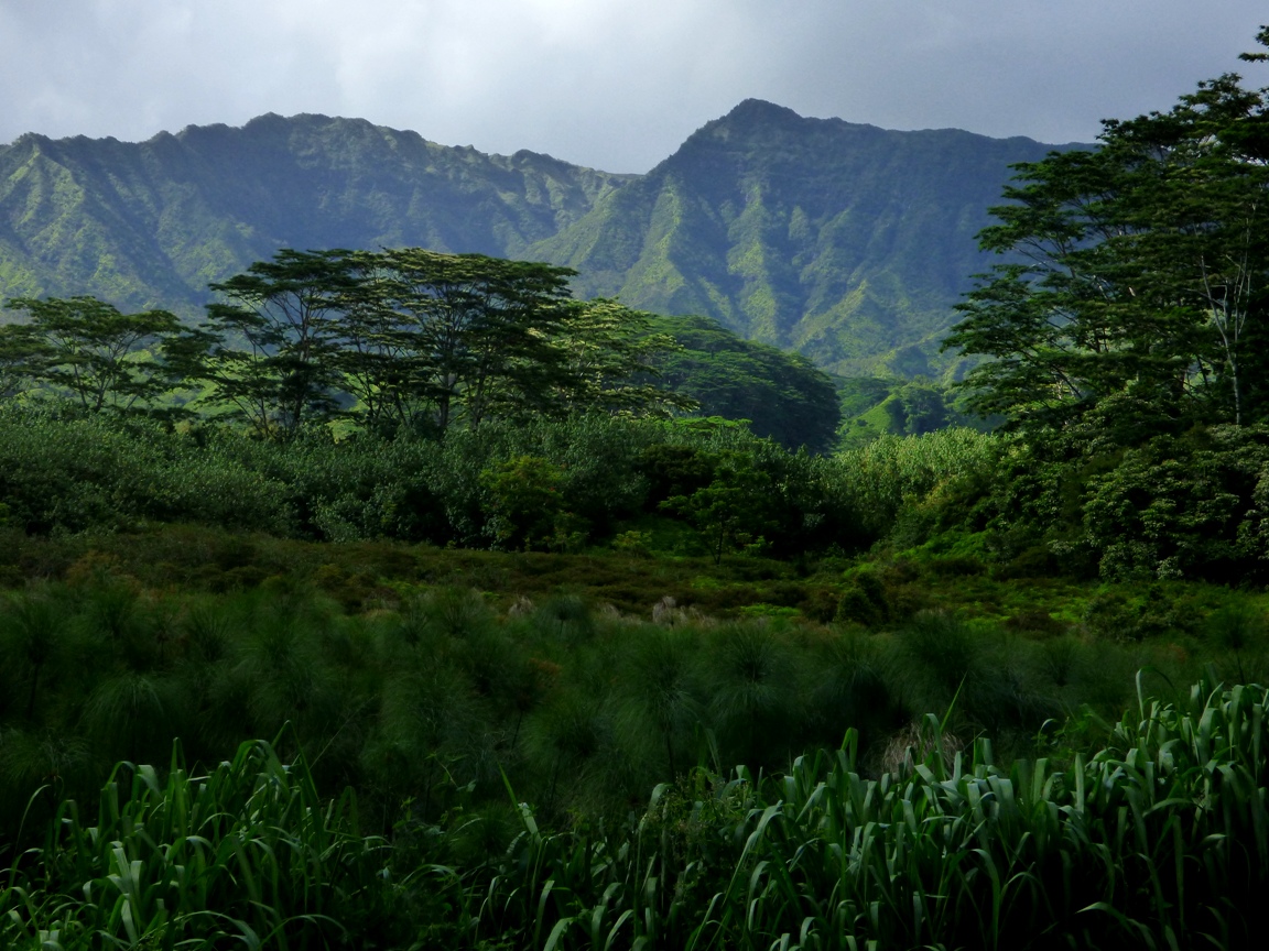 Geotripper: The Hawai'i That Was: A Geological and Anthropological ...