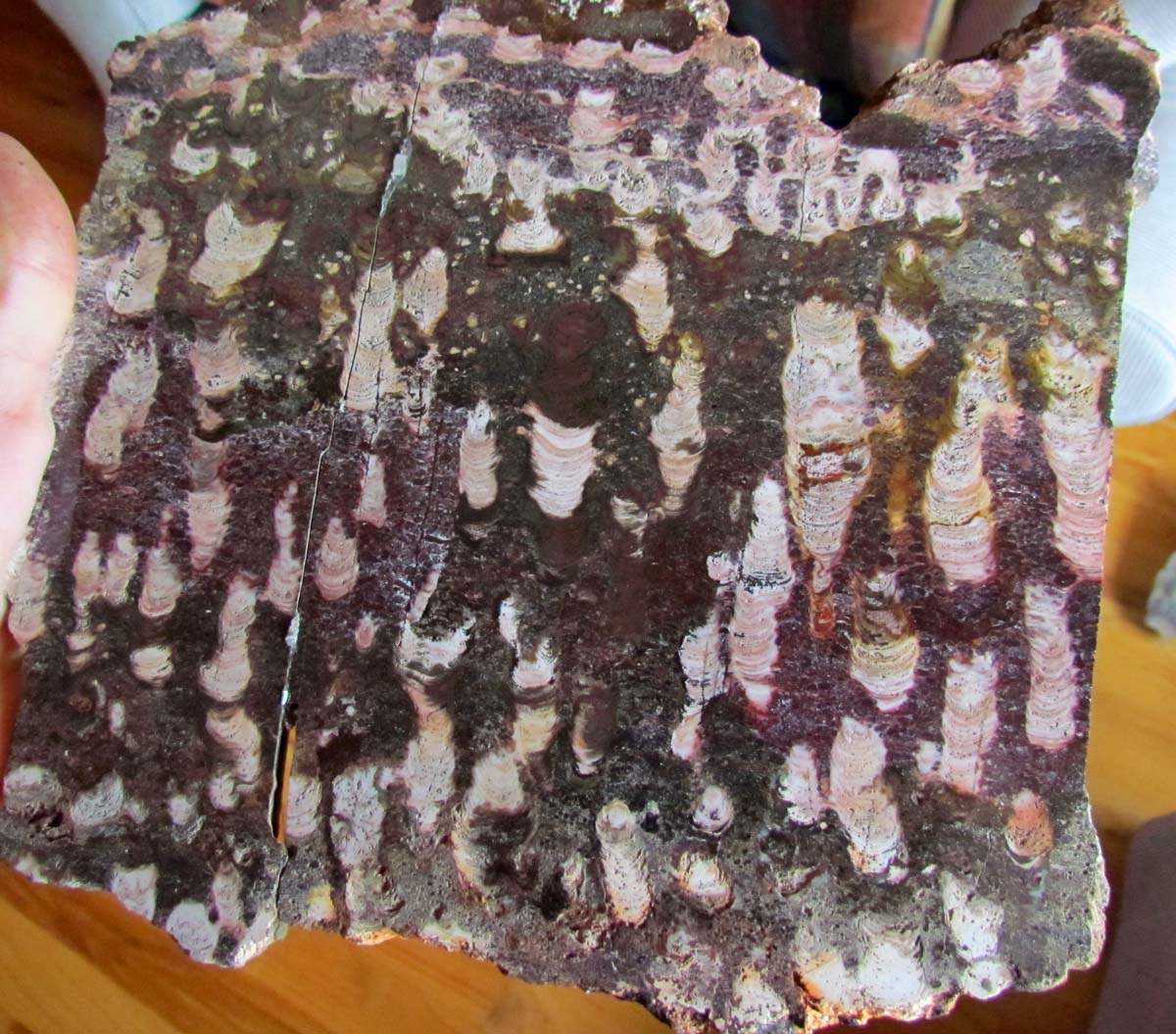 The Agatelady: Adventures and Events: Incredible Rock Collection