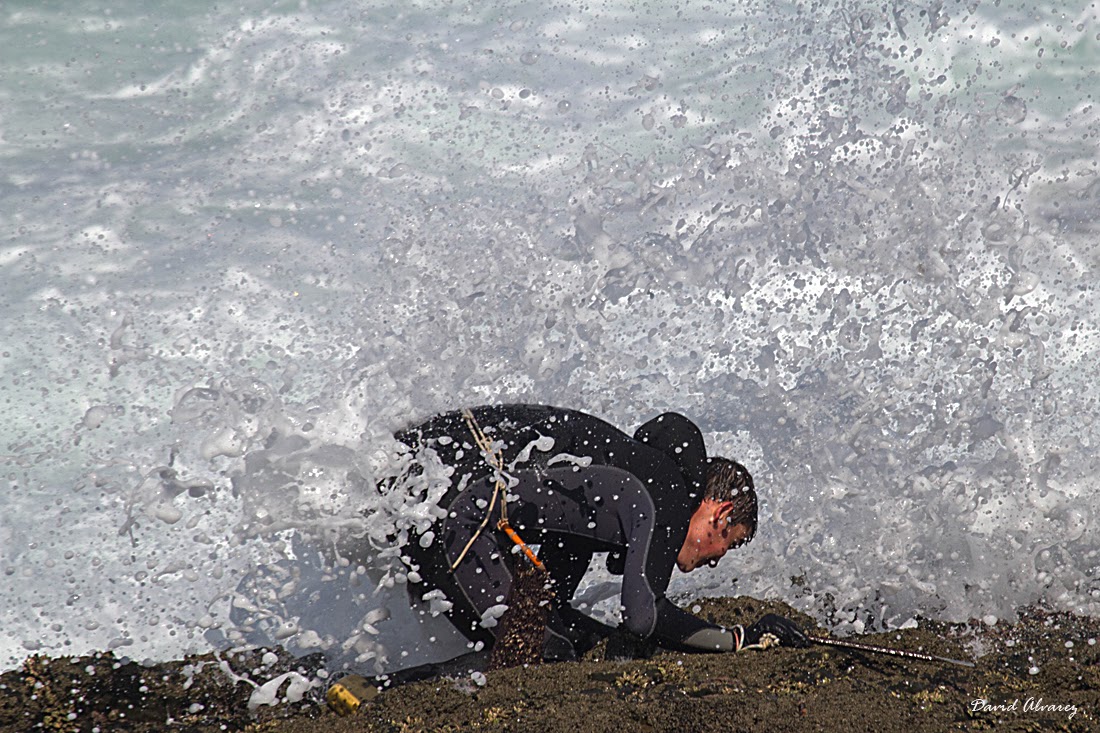 Naturaleza Cantábrica: Percebeiros en Veiga