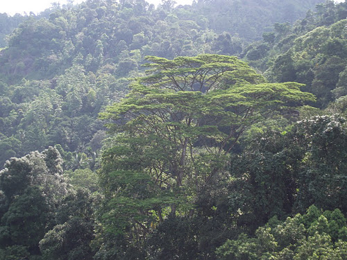 Visit Our Srilanka: Kagugannawa Dawson Tower