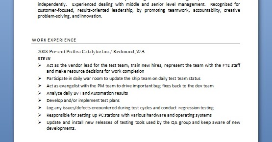 Test Team Leader Sample Resume Format in Word Free Download