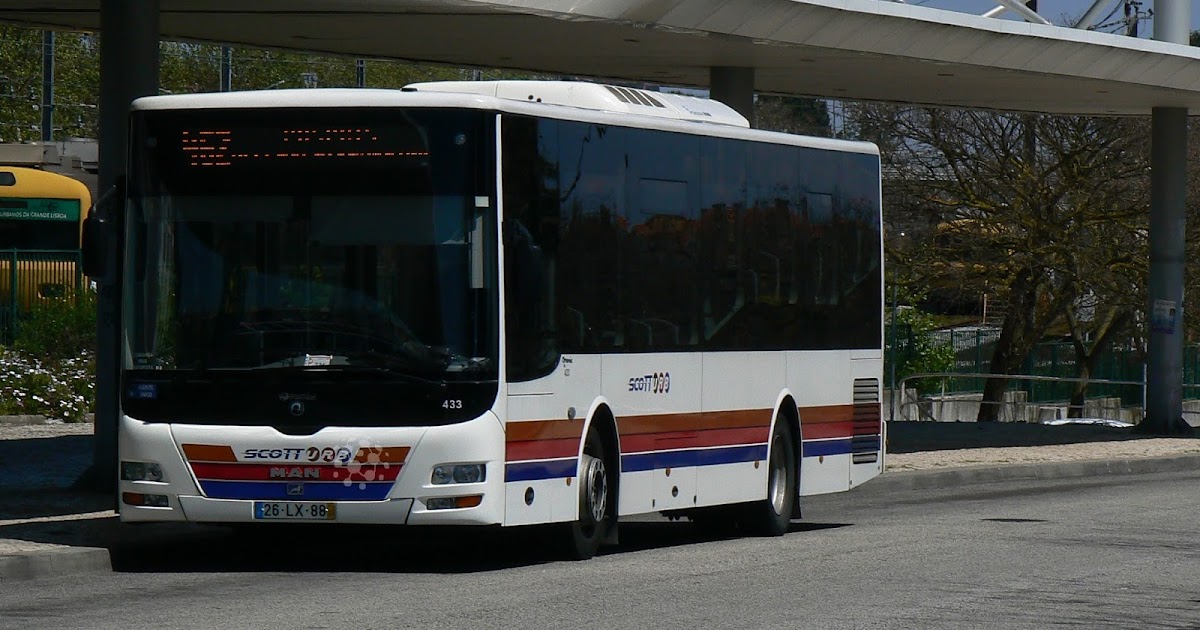 transportes online: SCOTTURB lança nova app mobile