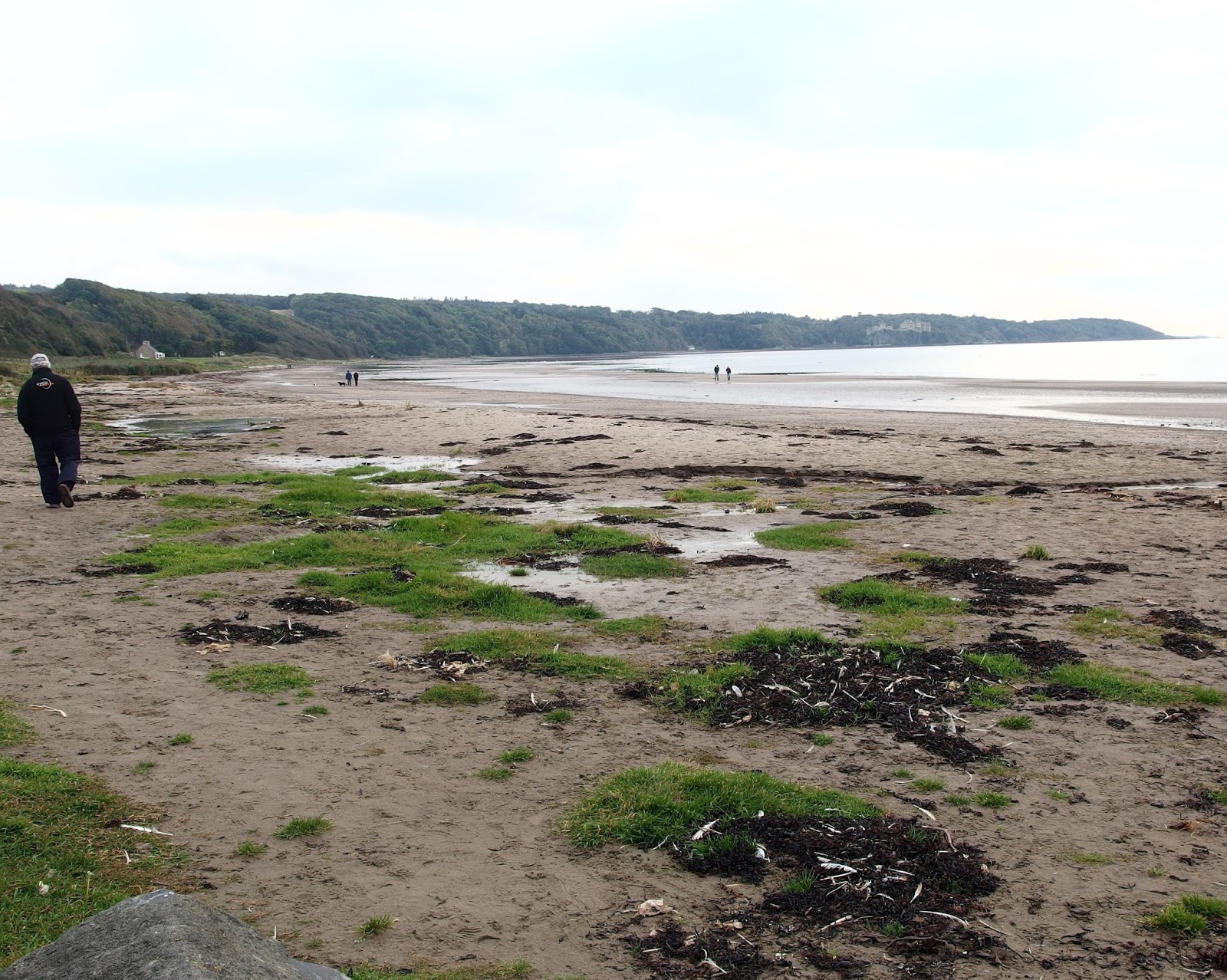 "ook?!": Walk along Croy Shore