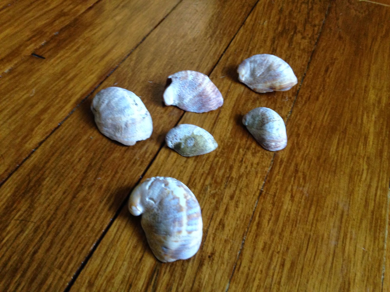 Programming Organic Shapes in Beetle Blocks for 3D Printing