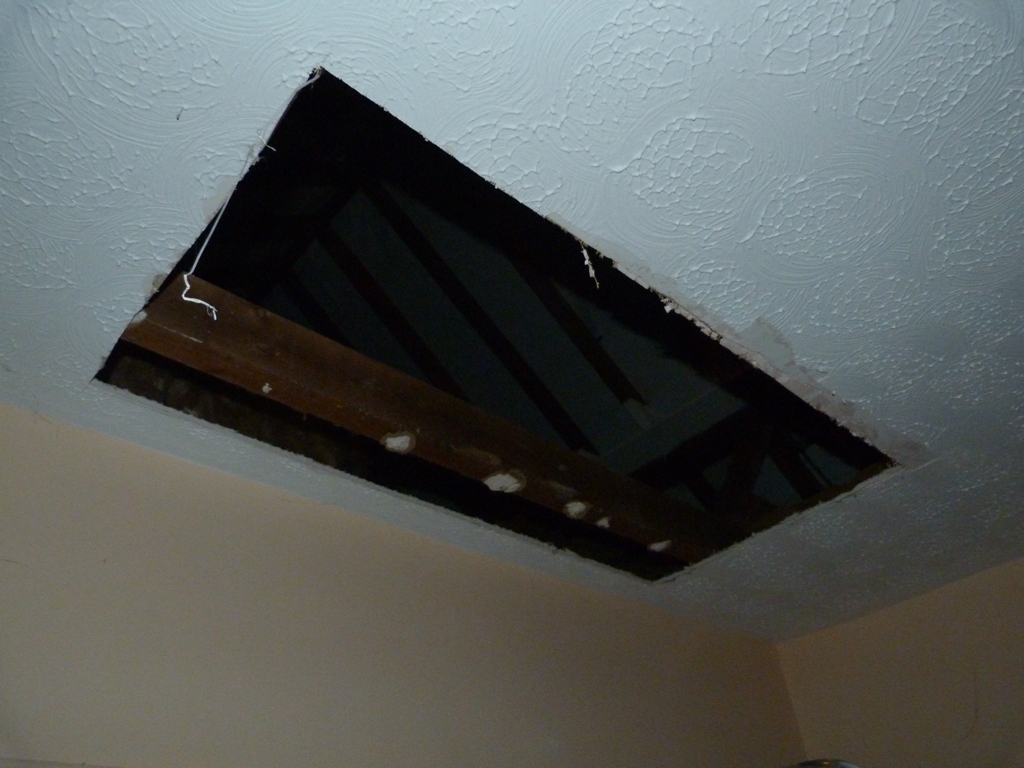 Sawdust In My Socks: Fitting A Loft Hatch