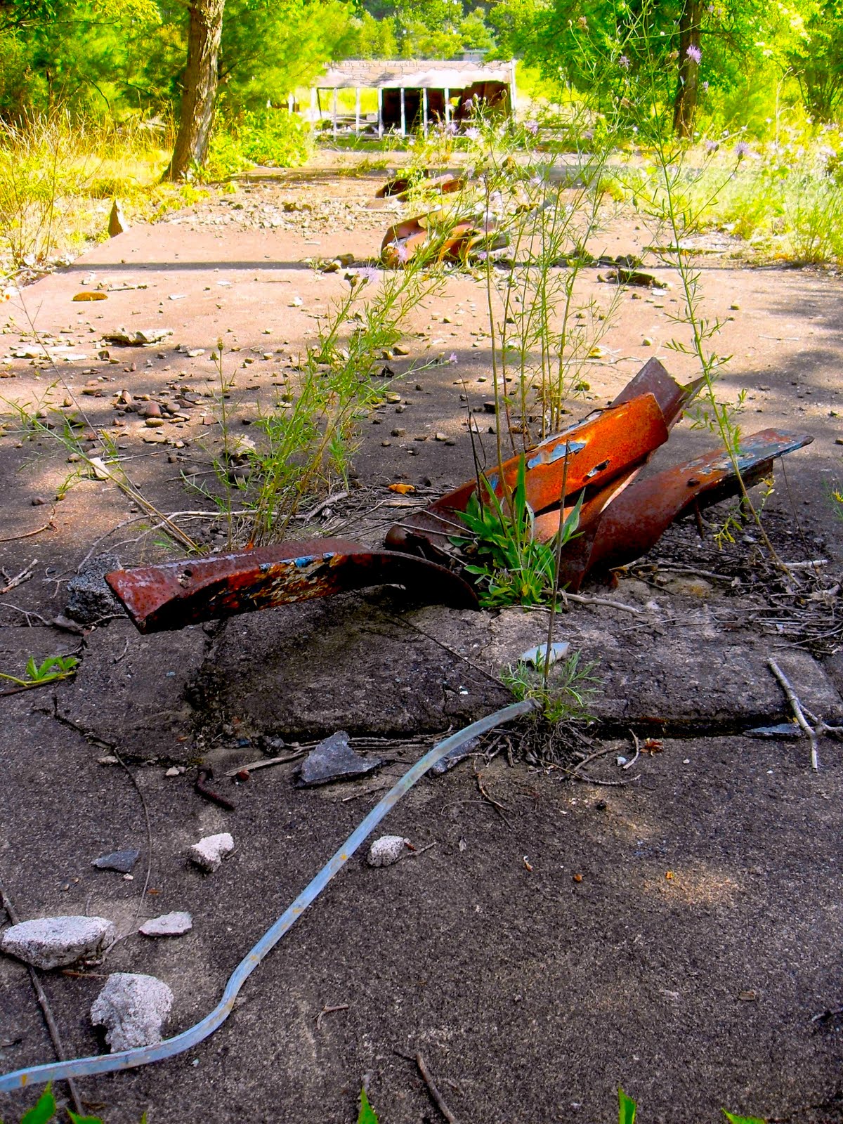 ART SKOOL DAMAGE : Christian Montone: Memento Mori: The Ghost Of Angela ...