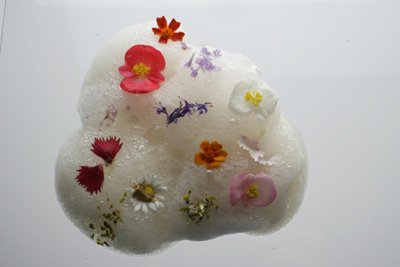 "Offline": Ferran Adria