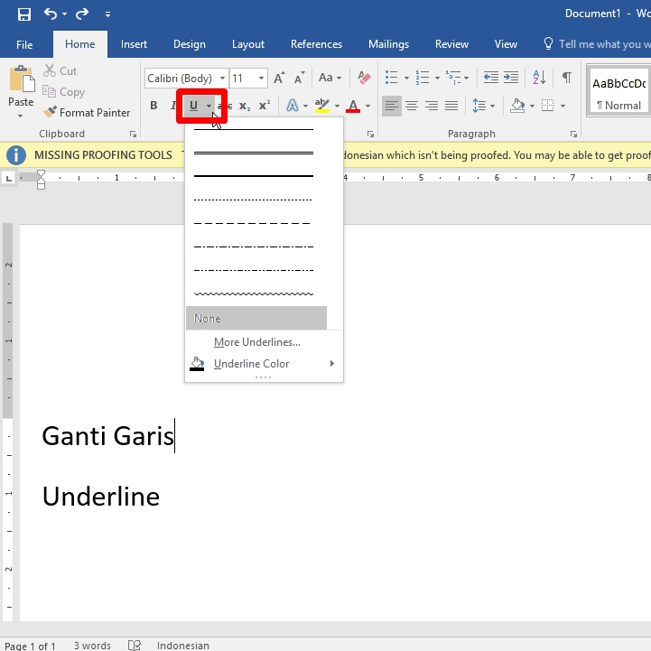 Cara mengganti model garis underline pada Microsoft WOrd - Biologizone