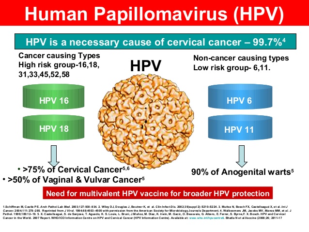 hpv dna test l hpv 16 18 l การรักษามะเร็งปากมดลูก รู้เร็วไม่เป็นมะเร็ง ...