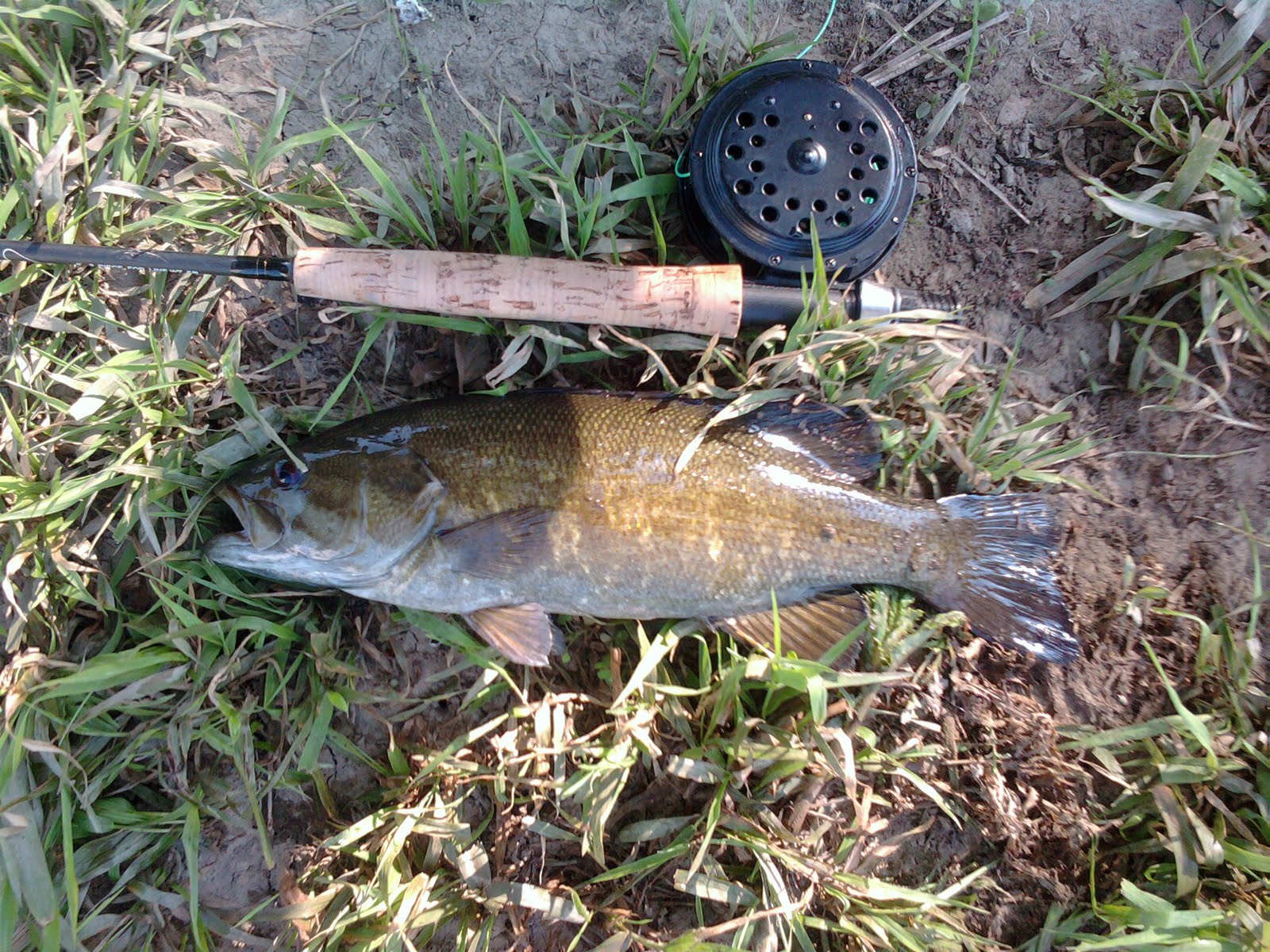 Small Mouth Bass Flying B Ranch
