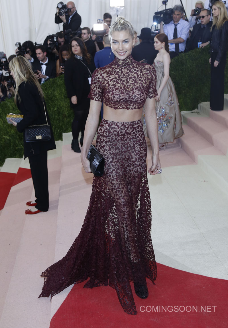 The Lion's Den: 2016 Met Gala Honor Roll