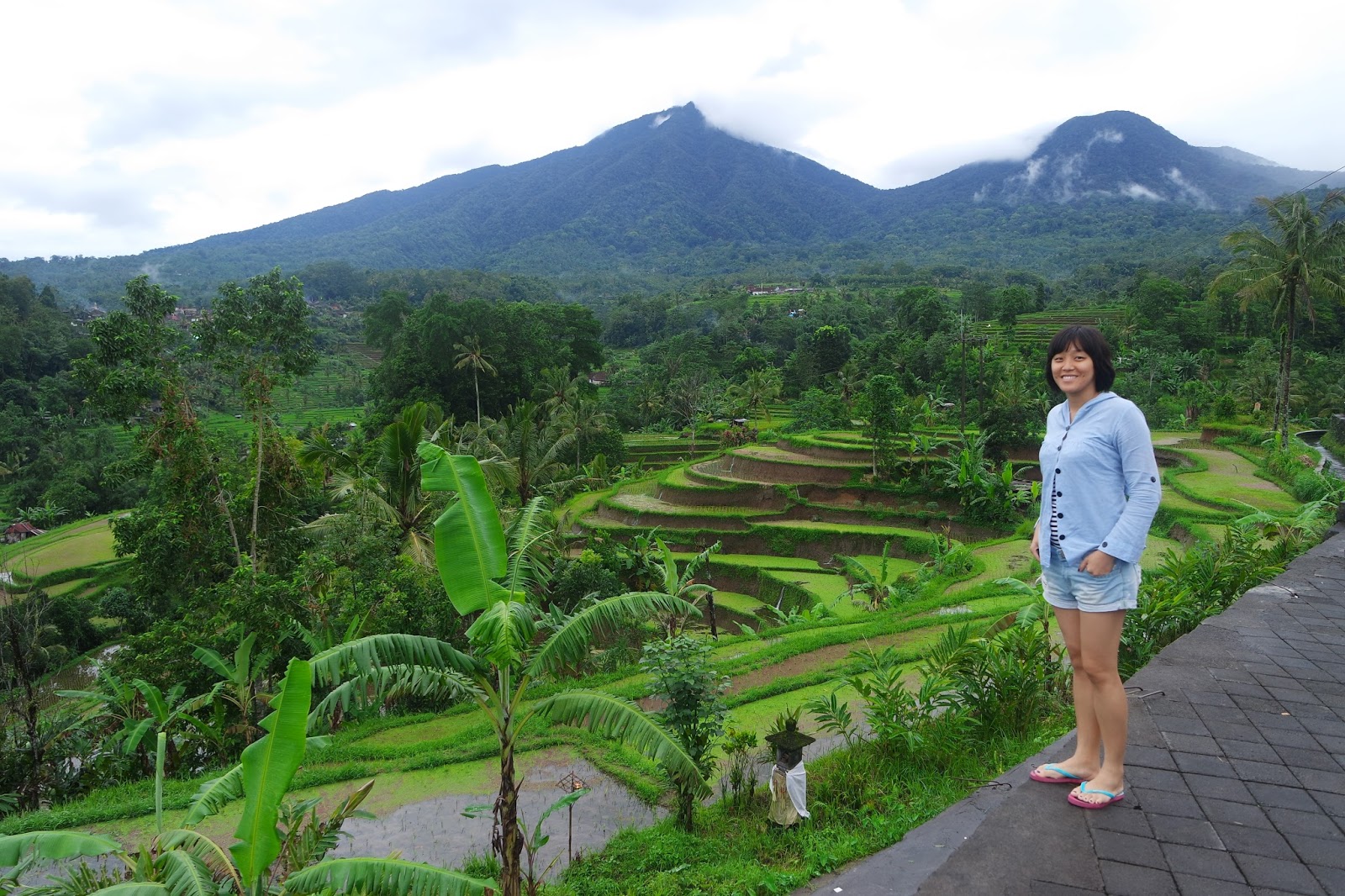 Hamparan Sawah Hijau Jatiluwih Bali | Wisata