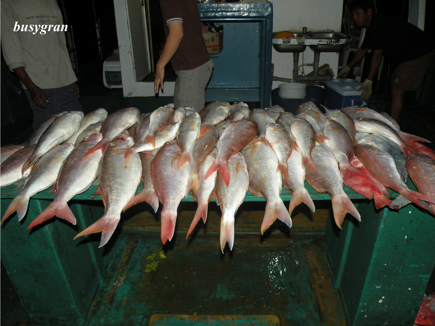 A Busy Gran's Kitchen: Steamed Fish with Chai Po