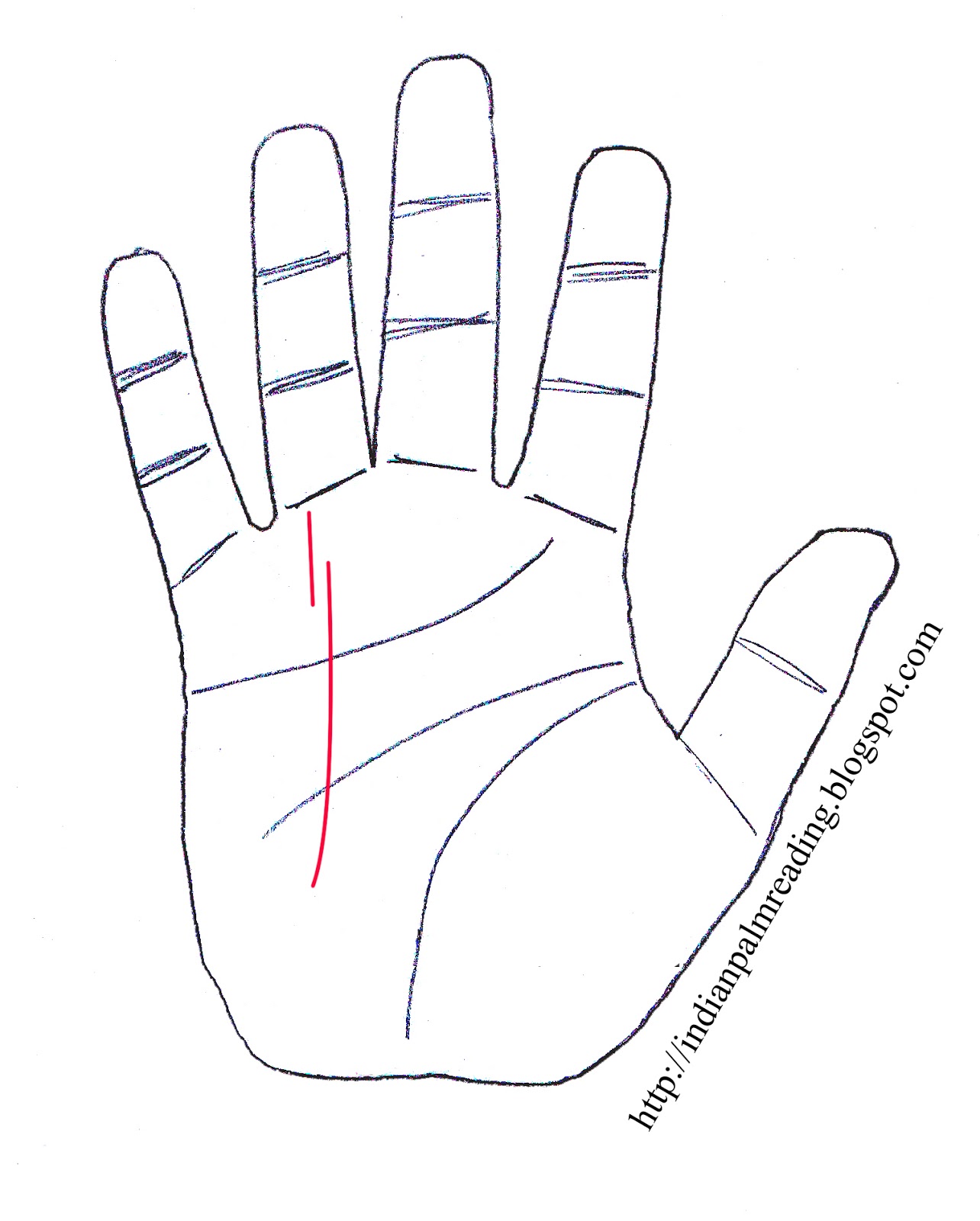 What To Do If Sun Line Is Broken In The Palm Palmistry ~ INDIAN ...