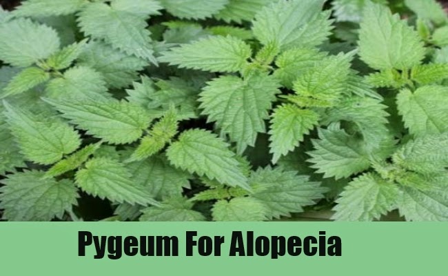 Pygeum Bark Tea Benefits ~ Healthy Tea 101