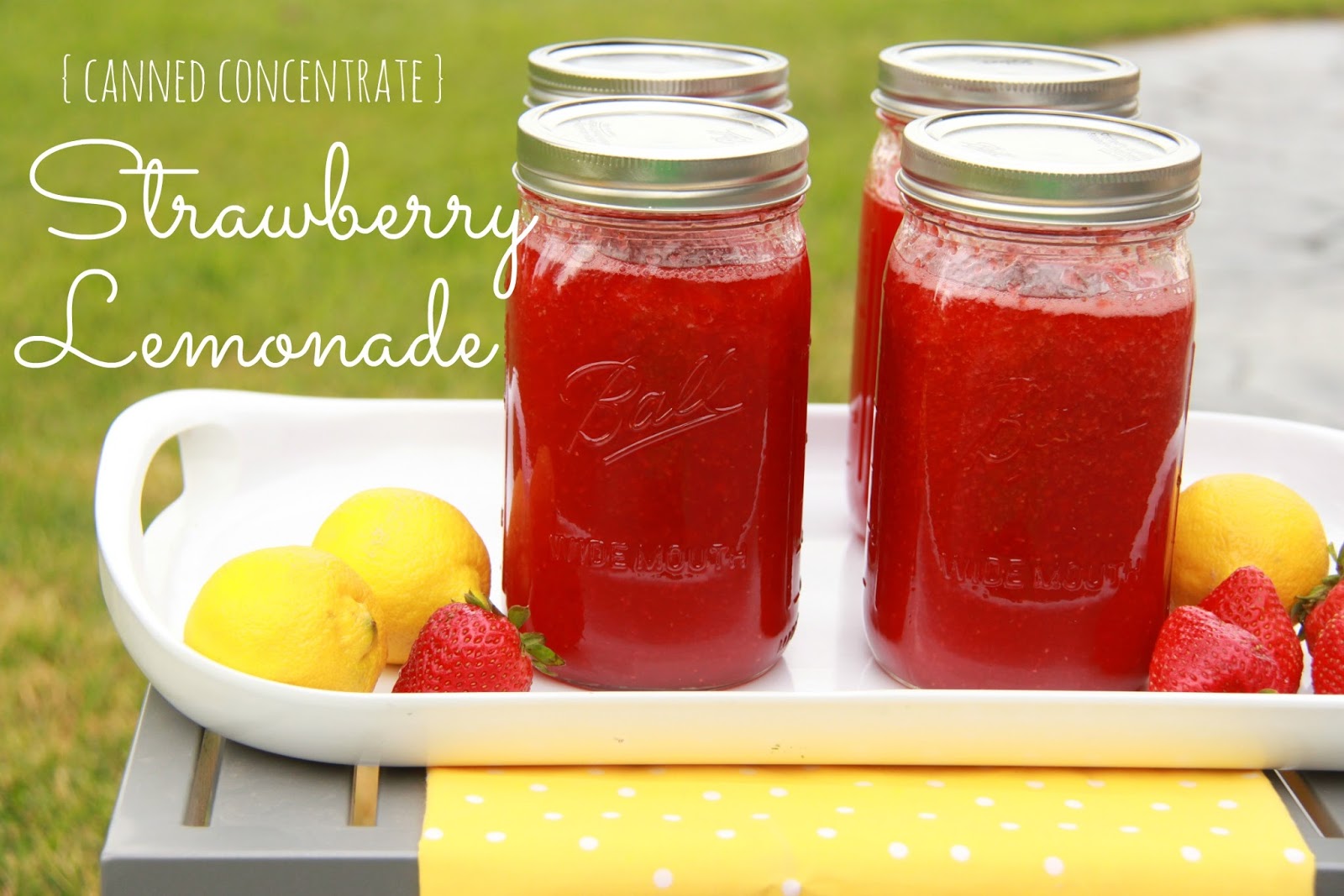 Larissa Another Day: A Pinteresting Wednesday: Canned Strawberry ...