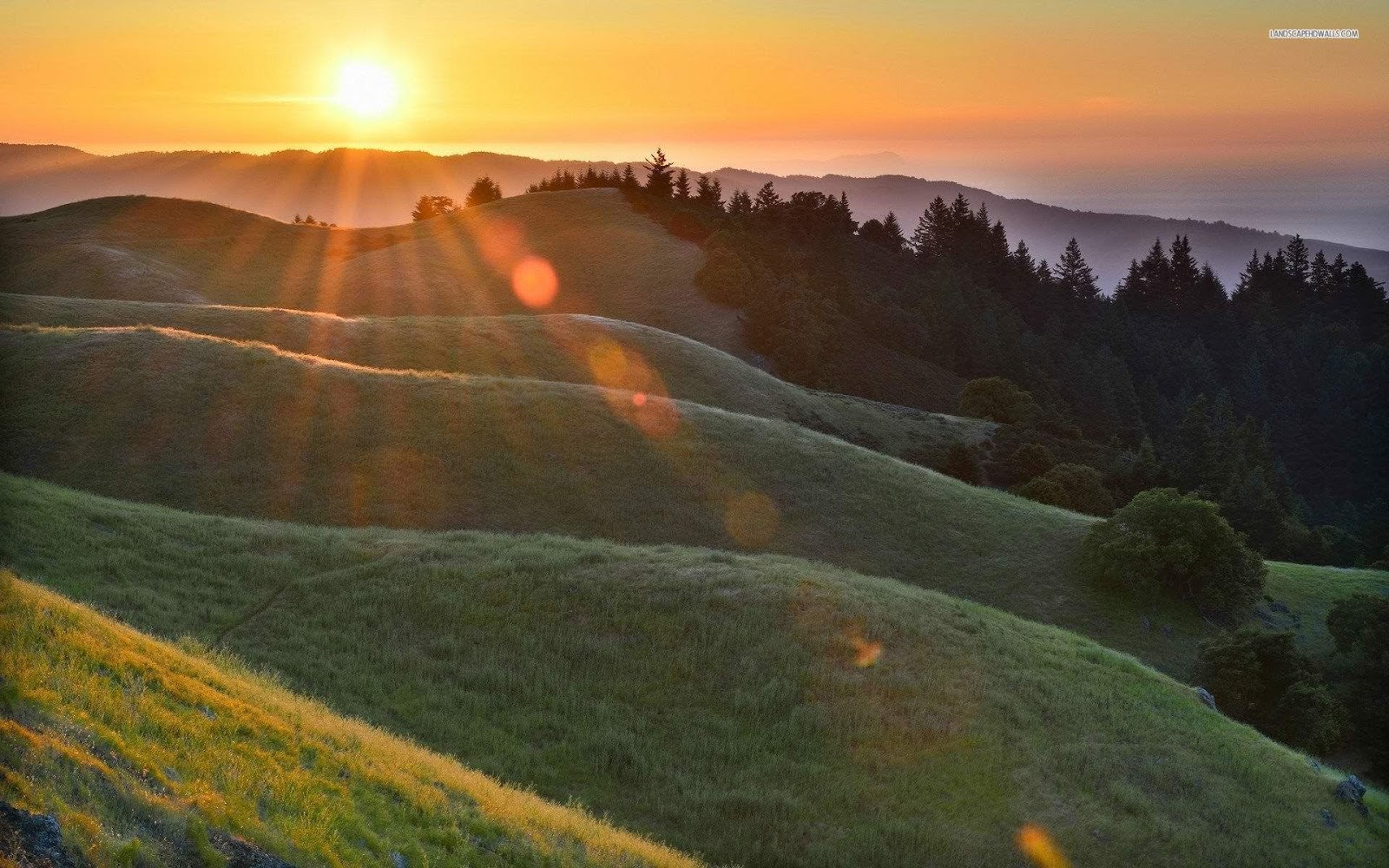 EndrTimes: Happy Sabbath