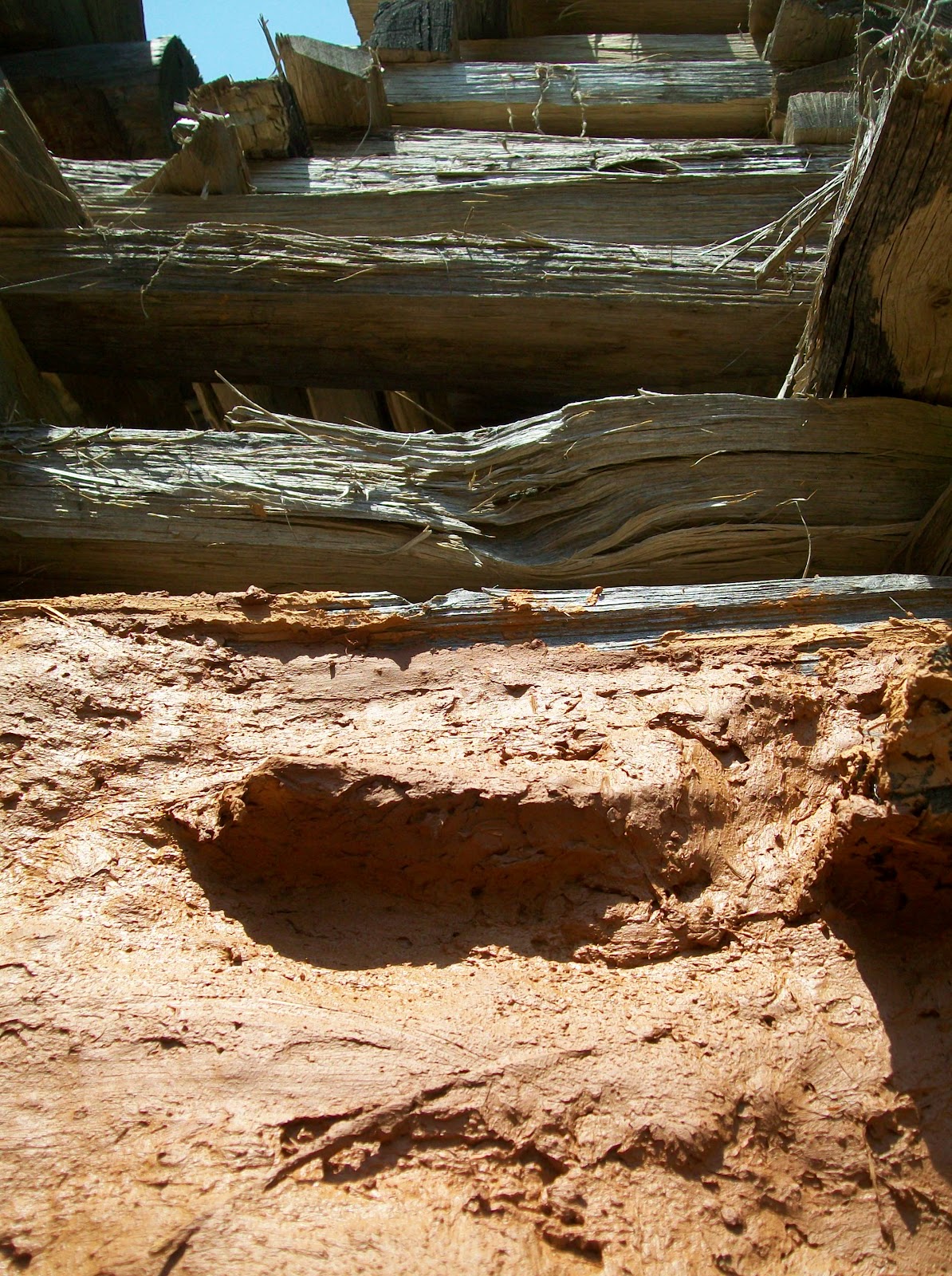 Frontier Culture Museum of Virginia: How to Daub A Cabin