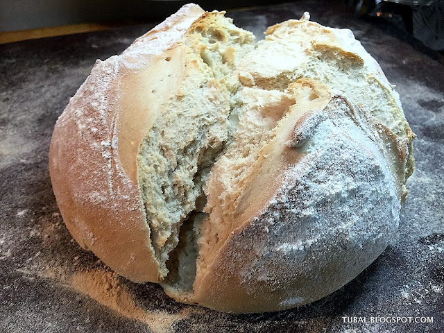 TUBAL: DAMPER, PAN AUSTRALIANO