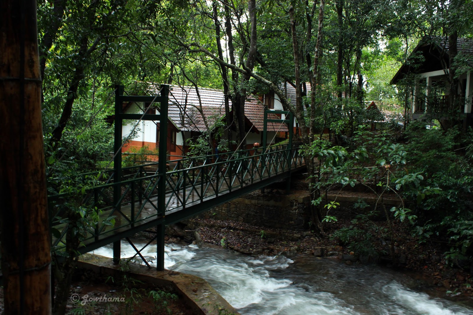 Entering Nature's Homeground - Vythiri Resort, Wayanad, Kerala - Creatikaa