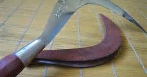 Lima Perbedaan Arit dan Celurit - JENIS PERBEDAAN