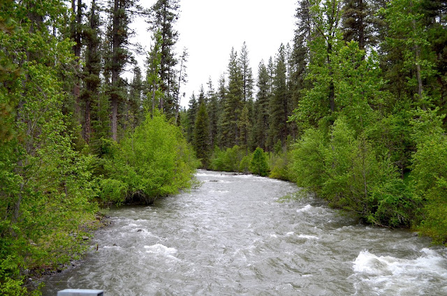 La Maison Boheme: Postcards from Eastern Oregon