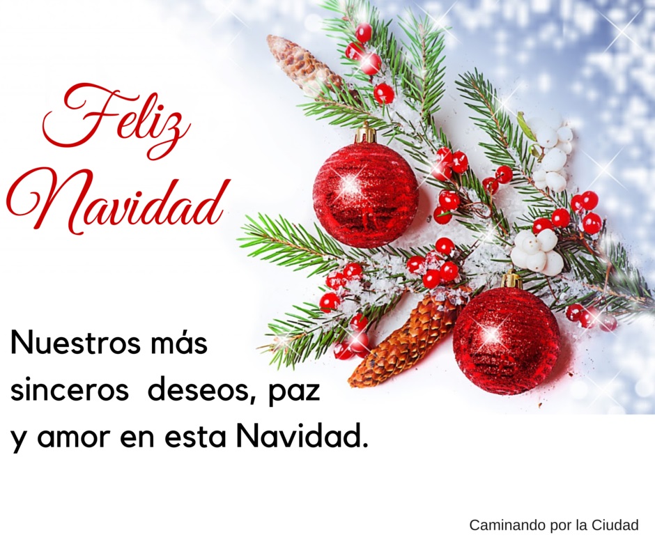 Felices Fiestas!...Feliz Navidad 2015