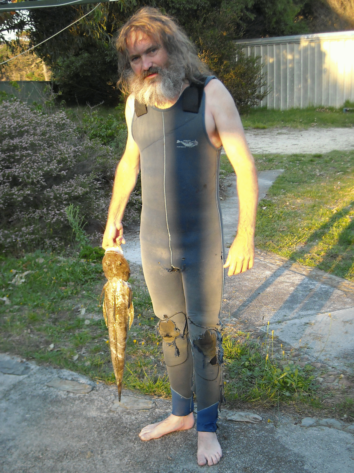 Flinders Family Freer: A dog in waders.