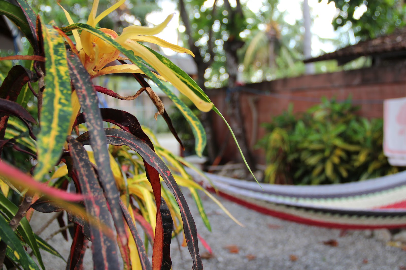 Finding Freedom: April 2012