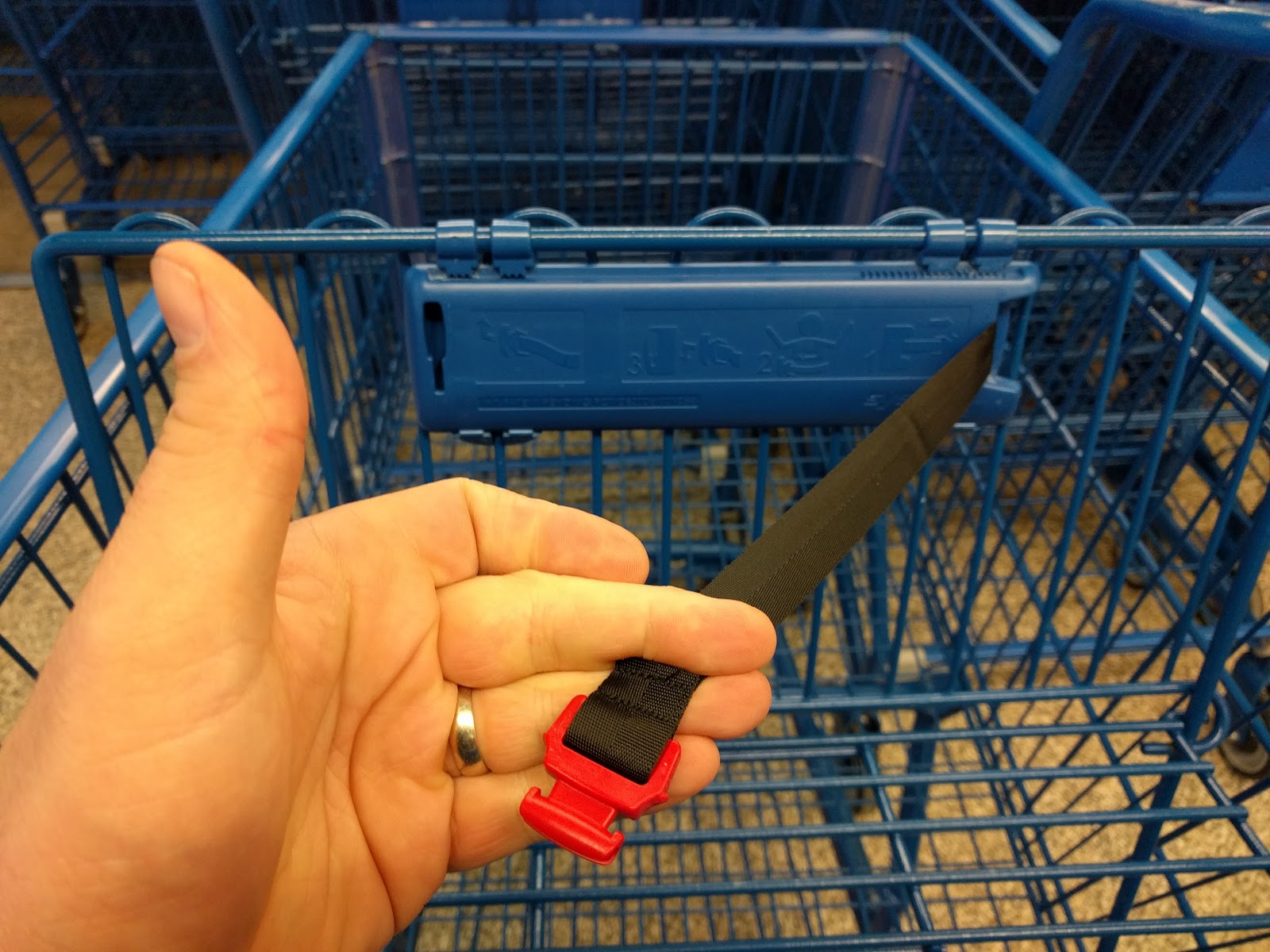 The Best Shopping Cart Kids Strap At Meijer