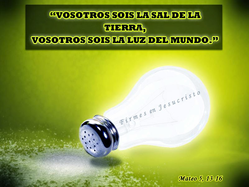 Yo soy el Camino, la Verdad y la Vida.: Evangelio según san Mateo 5, 13-16