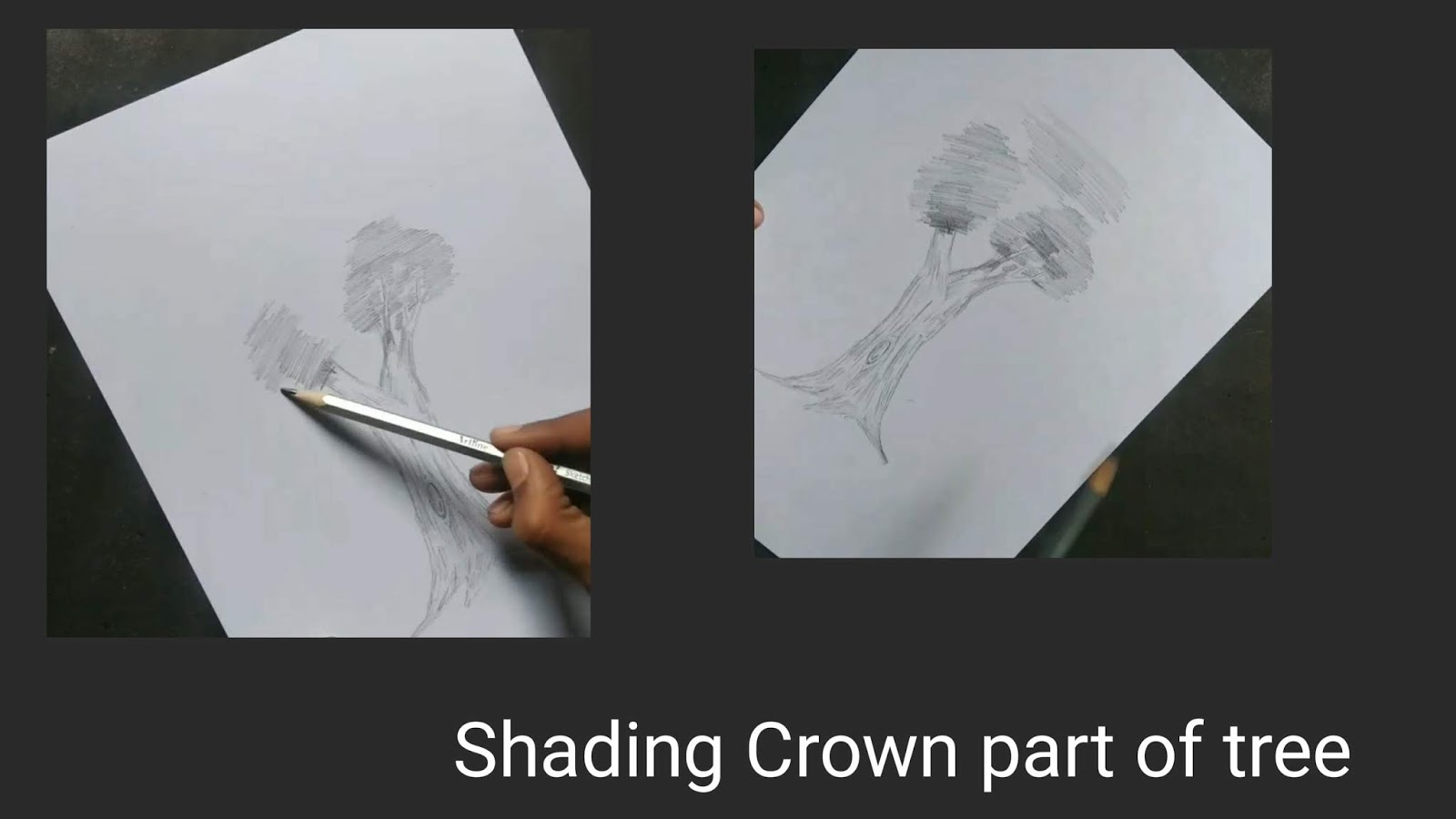 How to draw Trees - step by step tutorial - for begginers