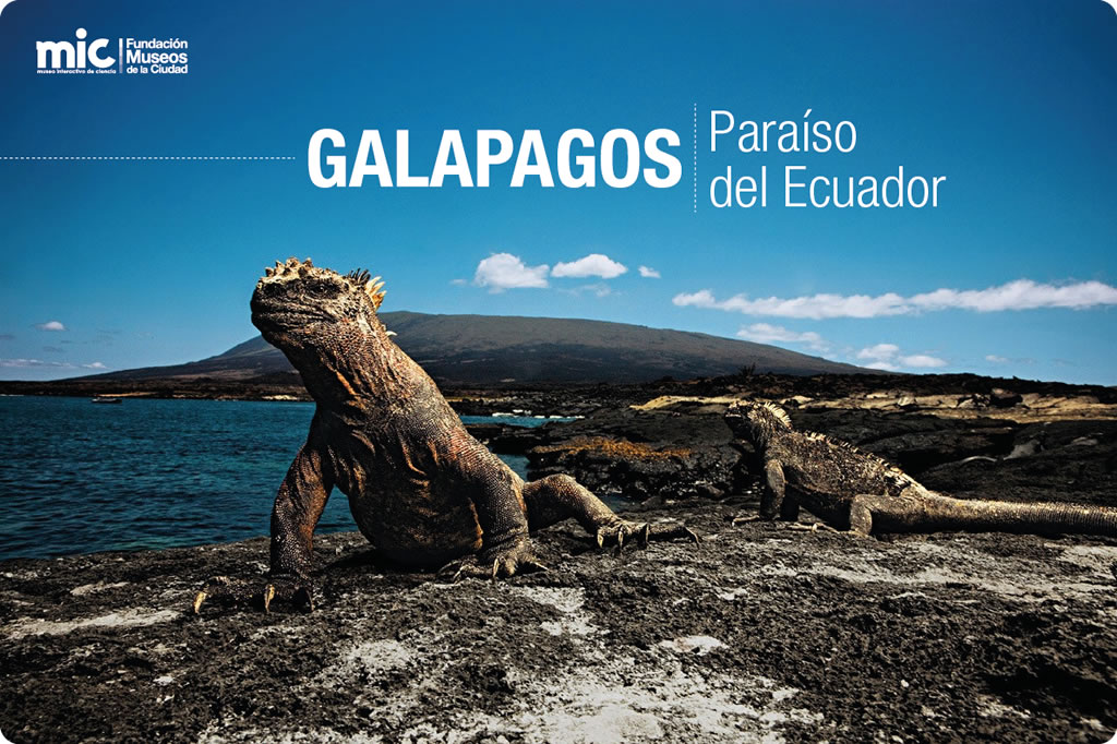 LAS ISLAS GALAPAGOS